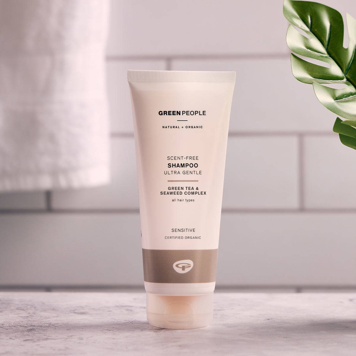 Shampoo free shampoo store