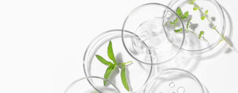 Find your local Green People stockist | Green People UK